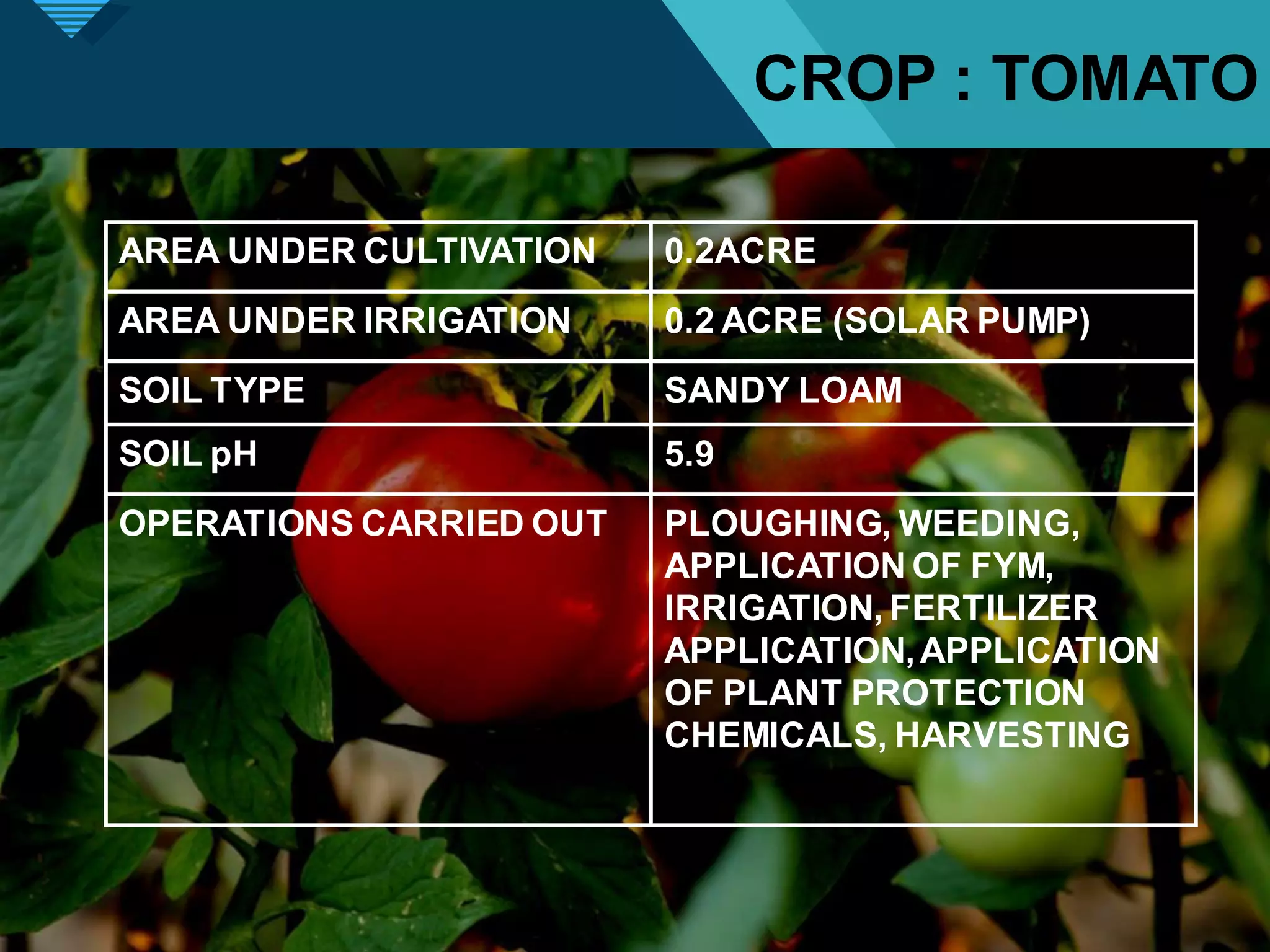 RAWE REPORT / PRESENTATION (2019) (RAWEP 2019) | PDF
