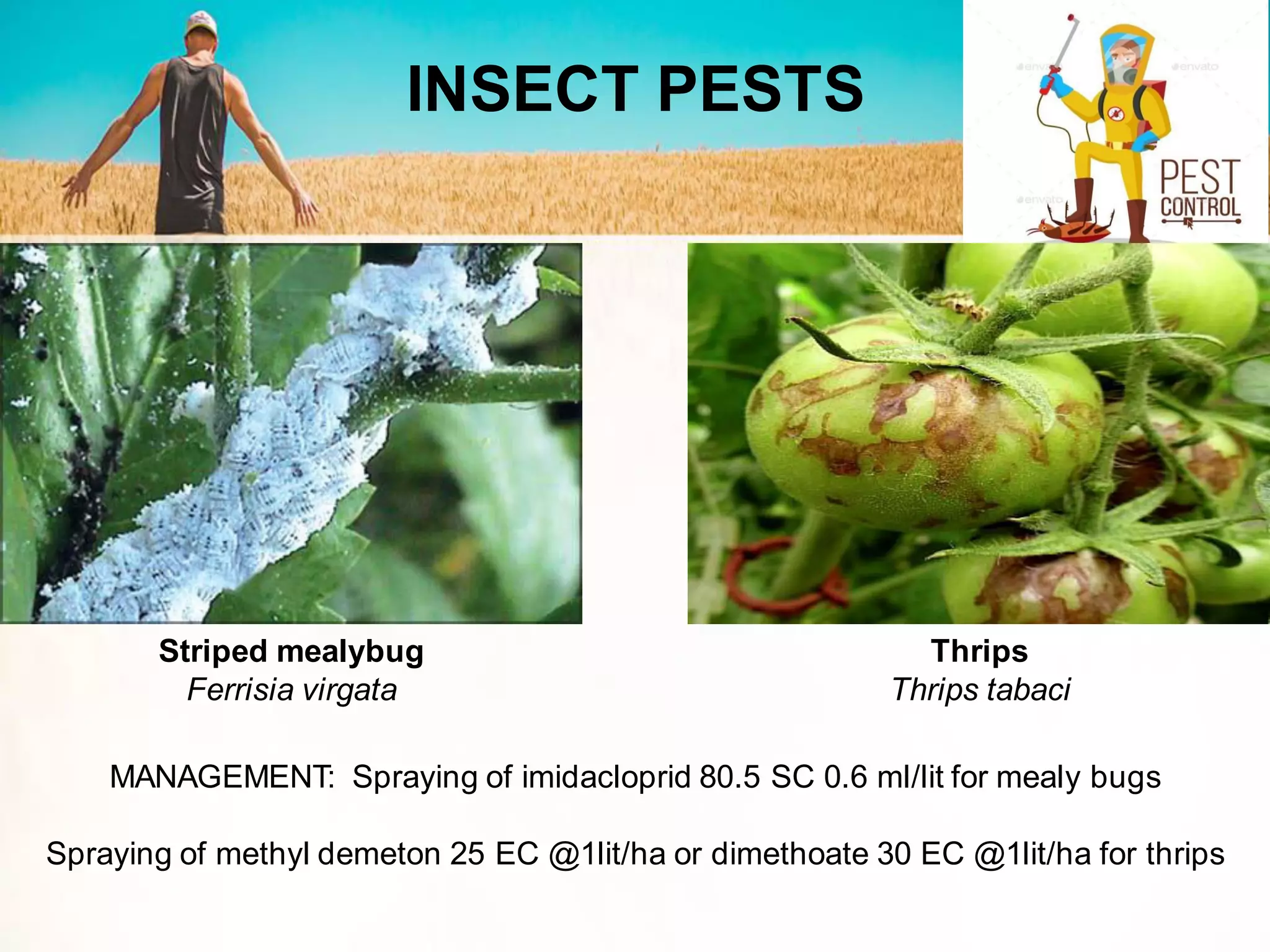 RAWE REPORT / PRESENTATION (2019) (RAWEP 2019) | PDF
