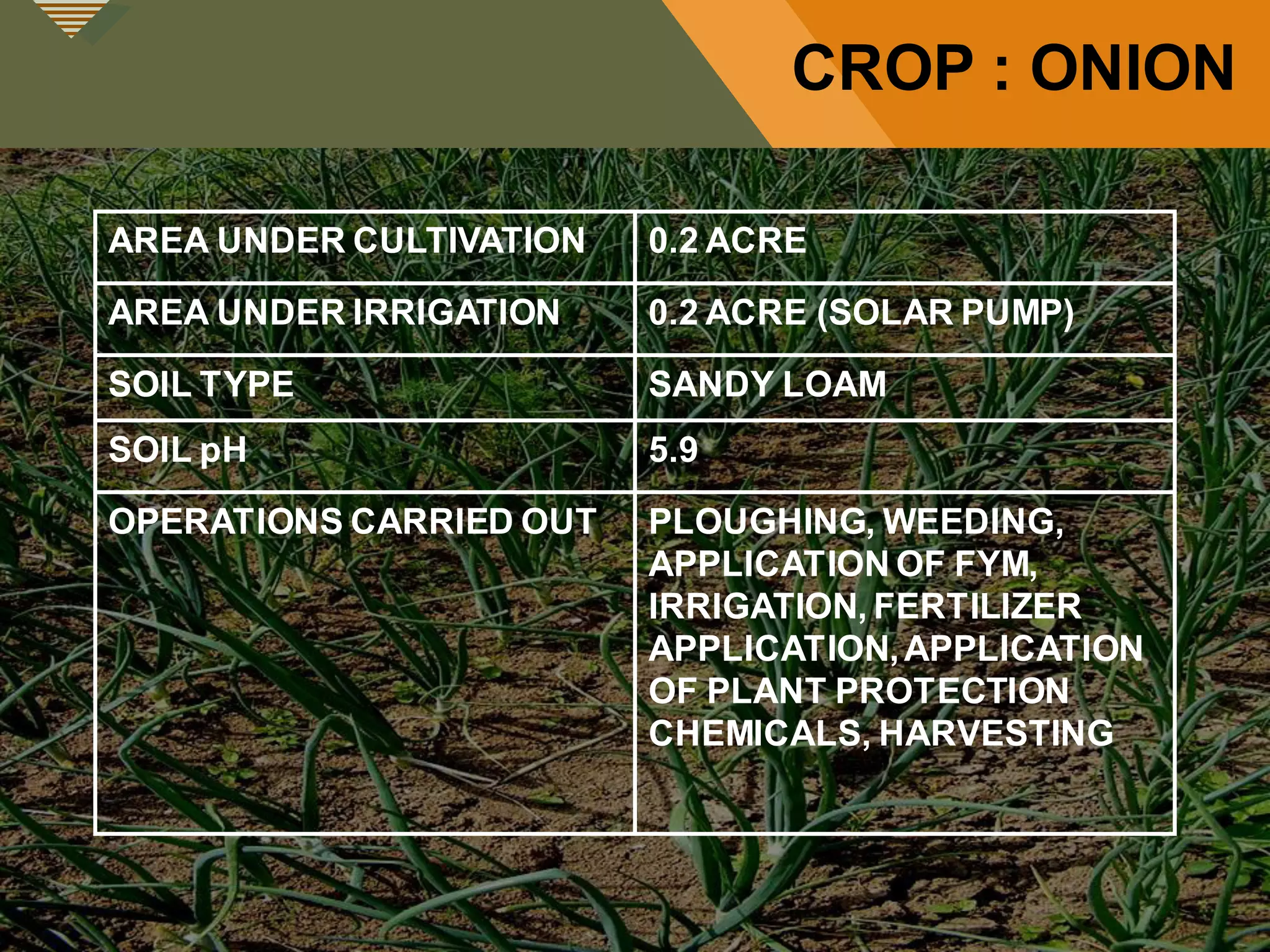 RAWE REPORT / PRESENTATION (2019) (RAWEP 2019) | PDF