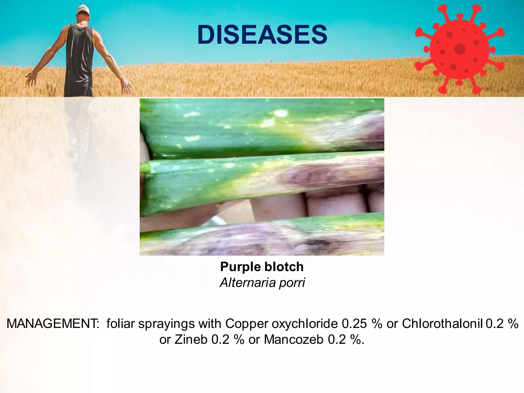 RAWE REPORT / PRESENTATION (2019) (RAWEP 2019) | PDF