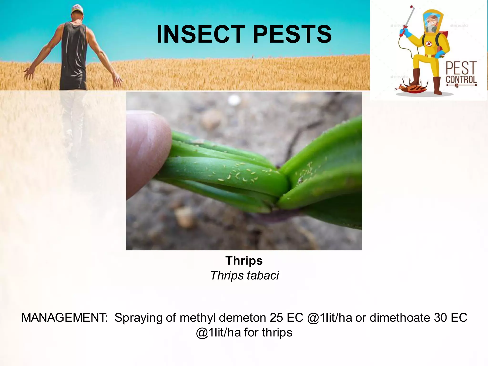 RAWE REPORT / PRESENTATION (2019) (RAWEP 2019) | PDF