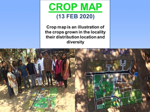 RAWE REPORT / PRESENTATION (2019) (RAWEP 2019) | PDF