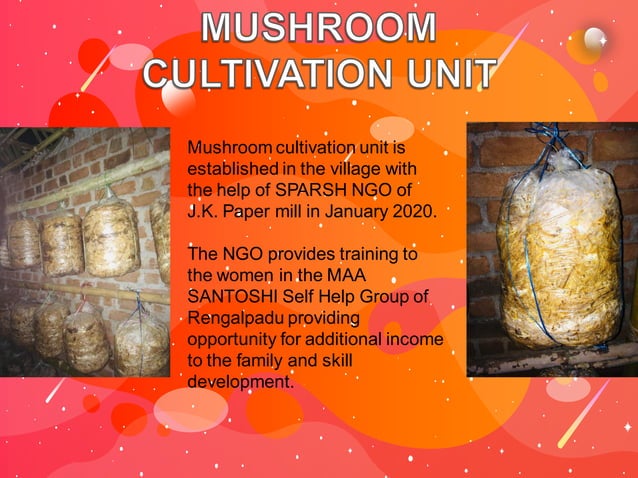 RAWE REPORT / PRESENTATION (2019) (RAWEP 2019) | PDF