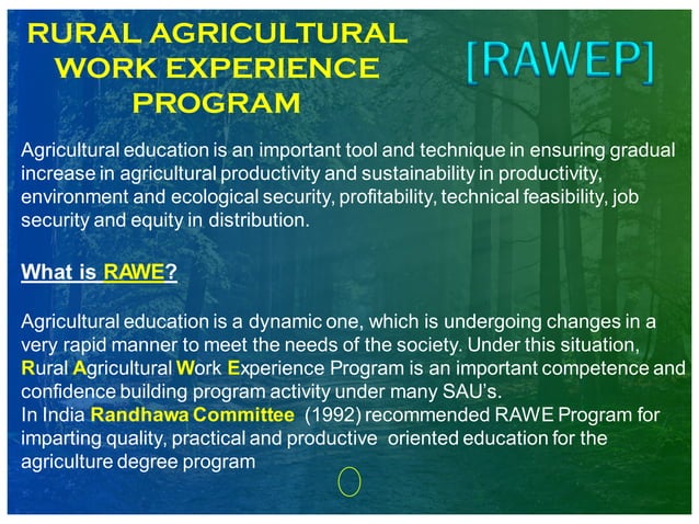 RAWE REPORT / PRESENTATION (2019) (RAWEP 2019) | PDF