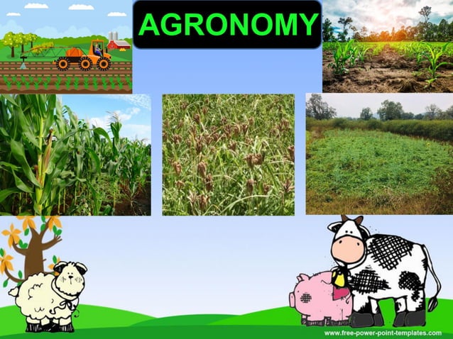 RAWE REPORT / PRESENTATION (2019) (RAWEP 2019) | PDF