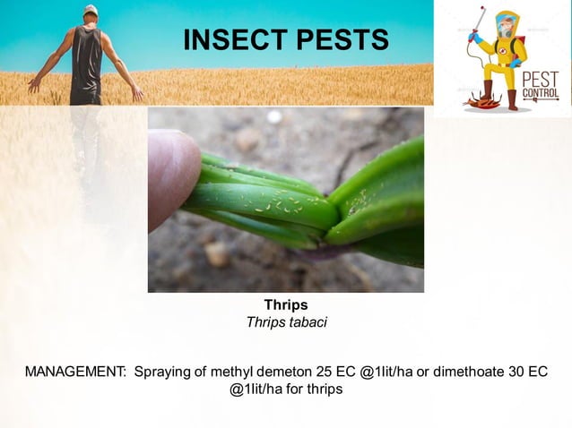 RAWE REPORT / PRESENTATION (2019) (RAWEP 2019) | PDF