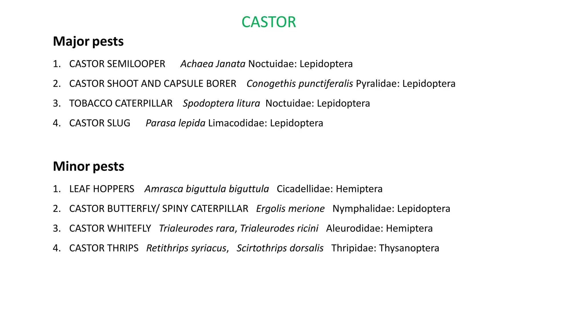 pest of oil seed crops 511 [Autosaved].pptx