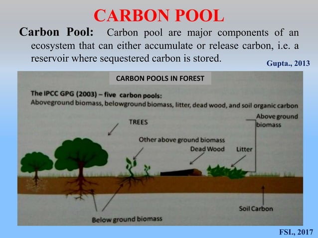 Carbon sequestration potential of forestry plantation. | PPTX