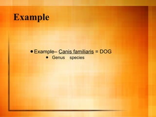 Sandel classification | PPT | Biological Sciences | Science