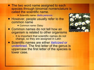 Sandel classification | PPT