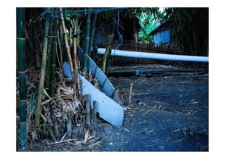 Mengenal Sandeq dalam Foto | PDF