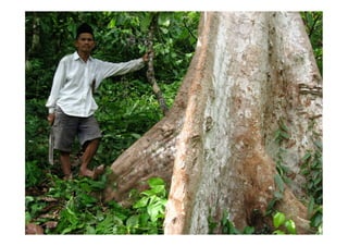 Mengenal Sandeq dalam Foto | PDF