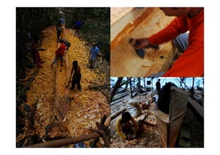 Mengenal Sandeq dalam Foto | PDF