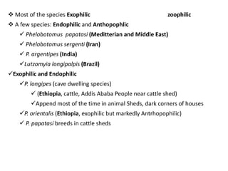 Sand fly, Md. Abdul Alim, Chittagong Veterinary and Animal Sciences ...