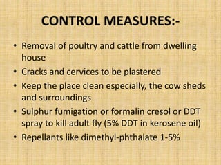 ENTOMOLOGY-Sand fly | PPTX
