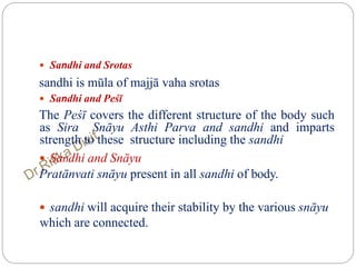 Sandhi sharir.pptx
