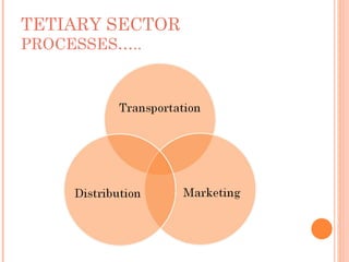 CLASSIFICATION OF FISHING INDUSTRY | PPT
