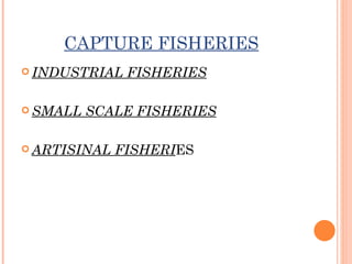 CLASSIFICATION OF FISHING INDUSTRY | PPT