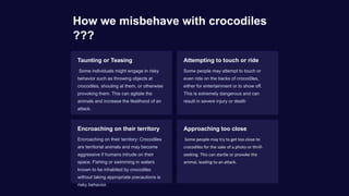 Animal abuse different types of abuse on animals | PPT