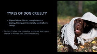 Animal abuse different types of abuse on animals | PPT