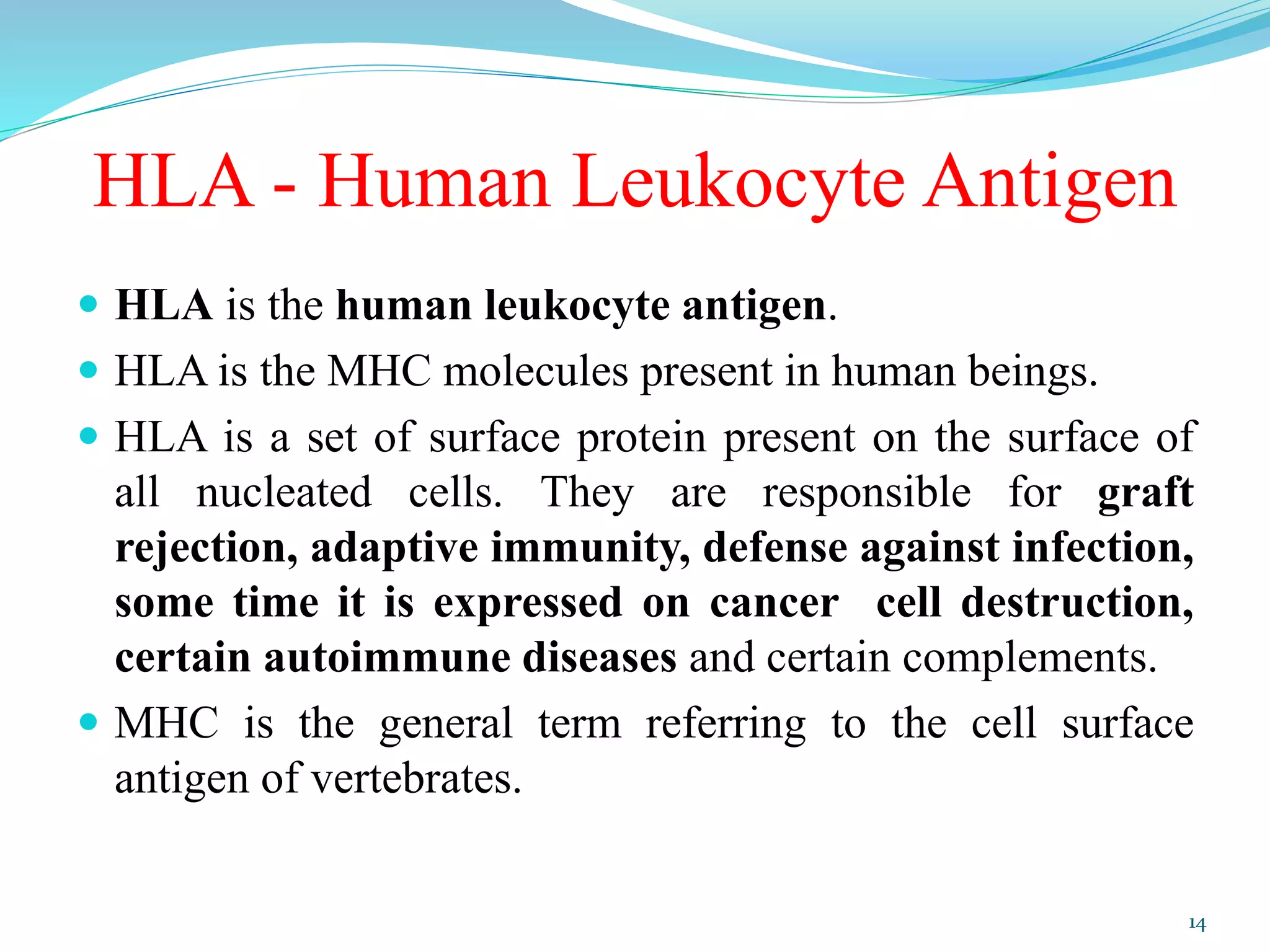 Major Histocompatibility complex | PPTX