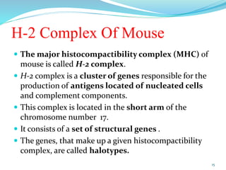 Major Histocompatibility complex | PPTX