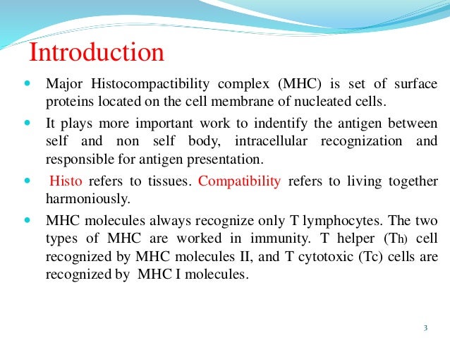 Major Histocompatibility complex