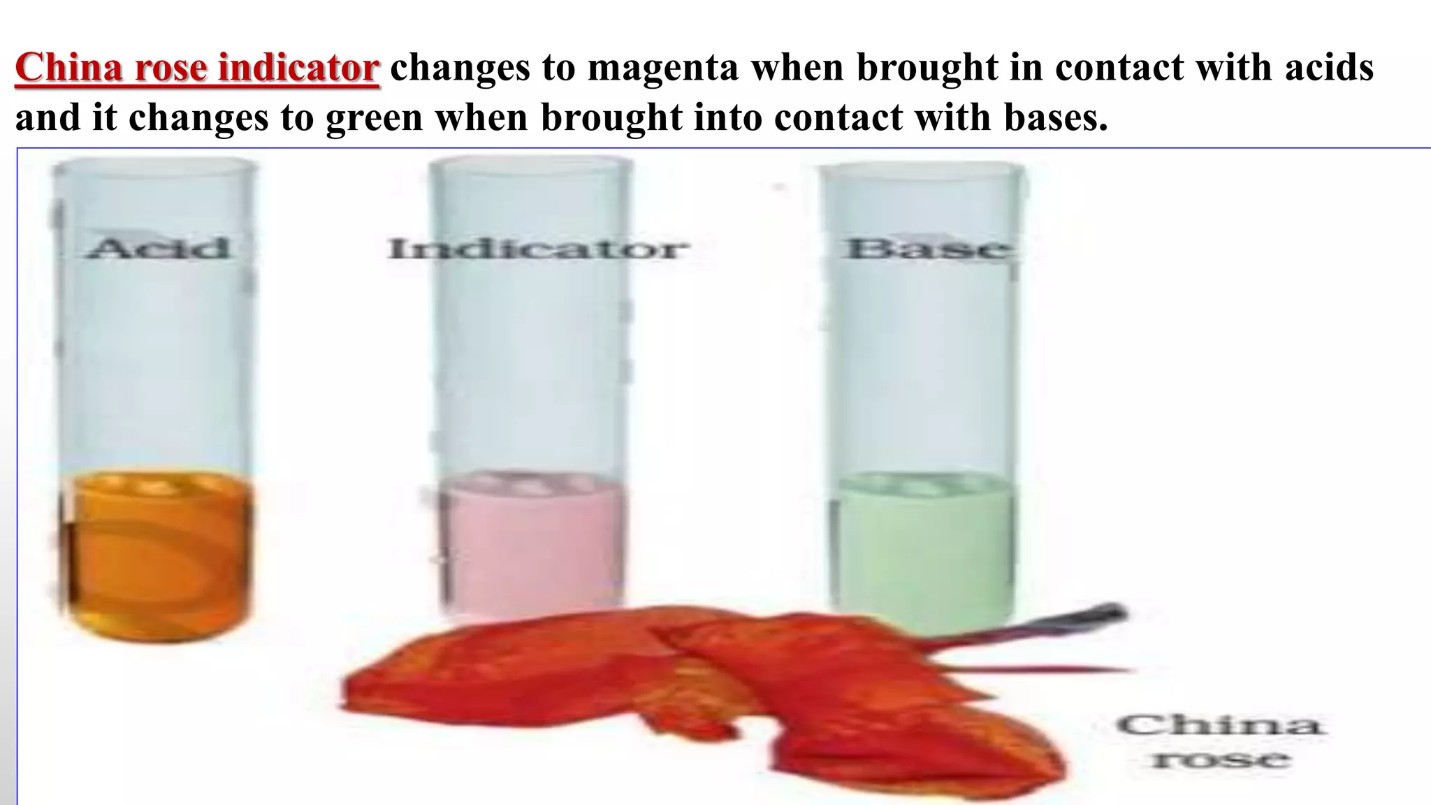 Acids, Bases & Indicators | PPTX