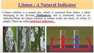 Acids, Bases & Indicators | PPTX