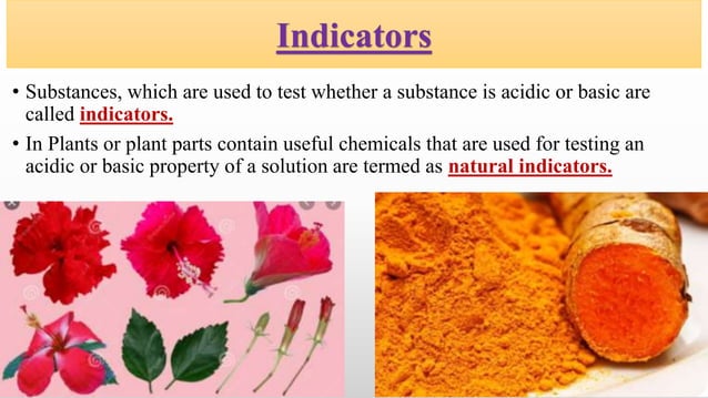 Acids, Bases & Indicators | PPTX