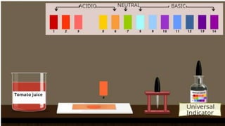 Acids, Bases & Indicators Part 4 | PPTX