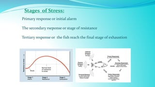Transportation stress | PPTX