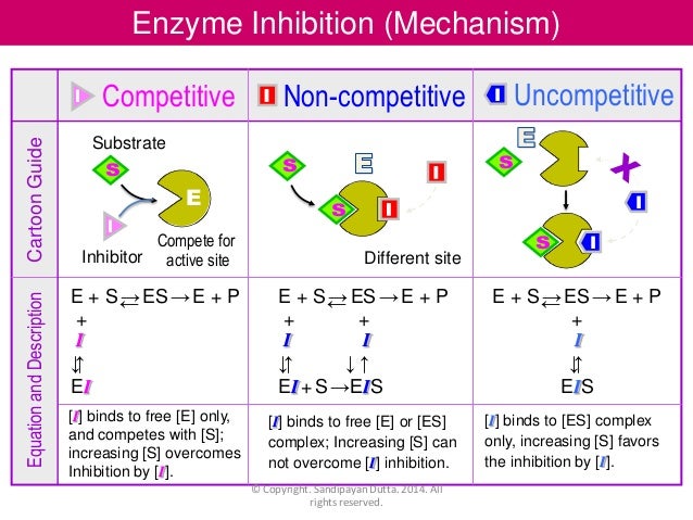 Sandipayan_enzyme inhibition_seminar