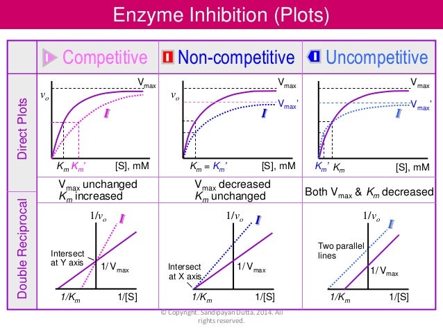 Sandipayan_enzyme inhibition_seminar
