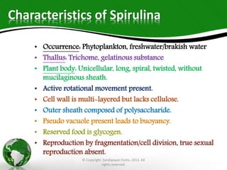 algae(spirulina) by Sandipayan Dutta | PPTX