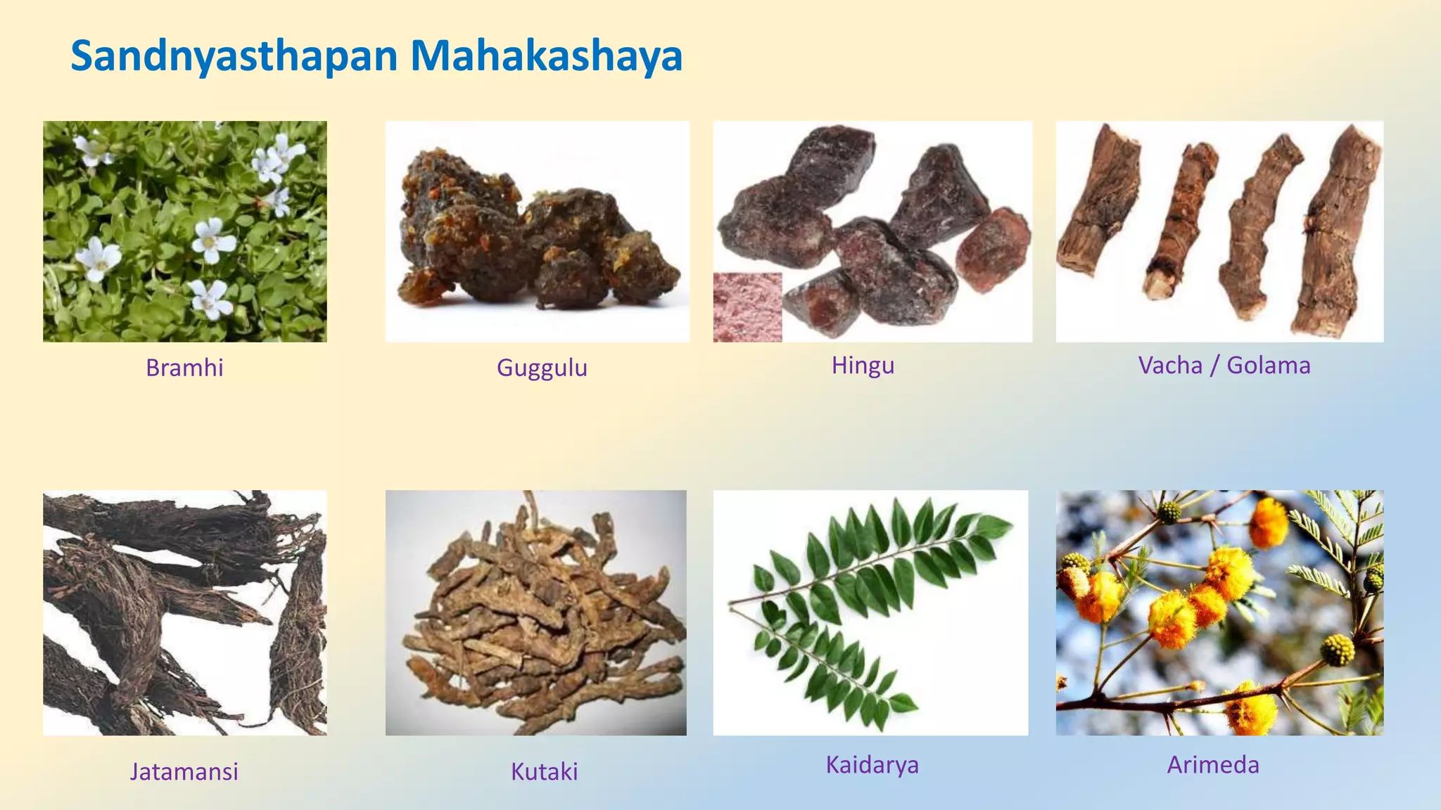 Sandnyasthapana gana a review by Dr.Asmita Jadhav . | PPTX