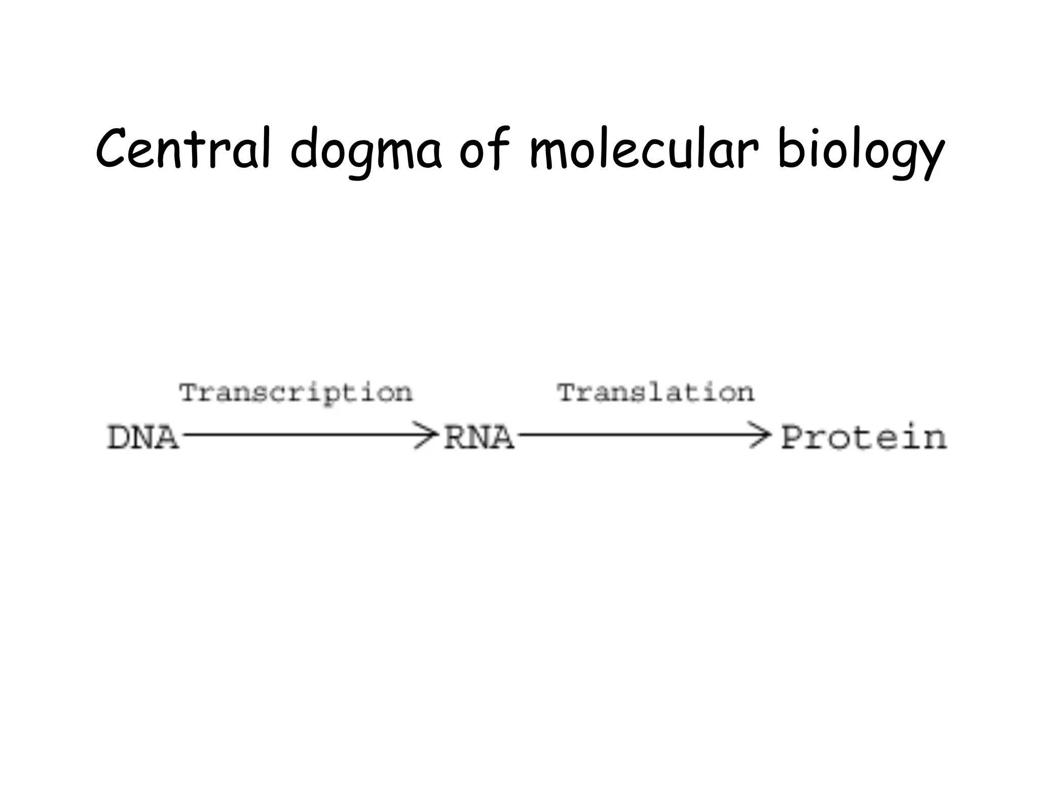 Molecular Biology:Central Dogma of Molecular Biology | PDF