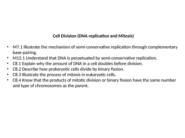 Exploring the Fascinating World of Cell Division: Understanding Mitosis ...