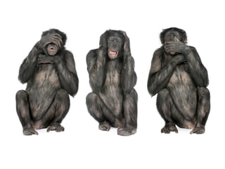 Sandra Peeters | PDF