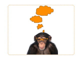 Sandra Peeters | PDF