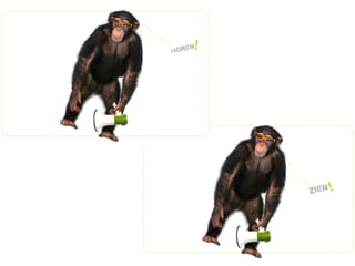 Sandra Peeters | PDF