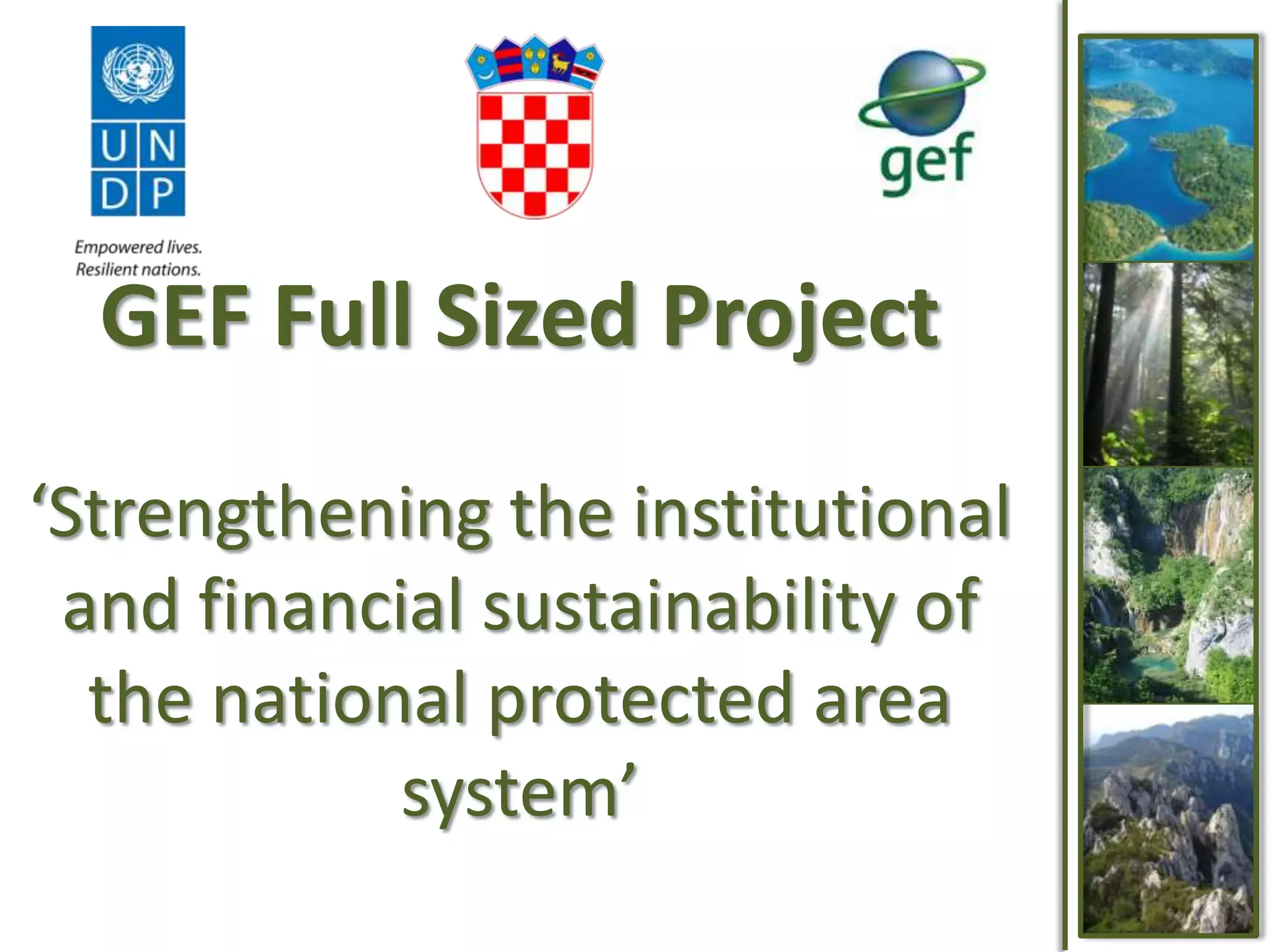 GEF Full Sized Project (Vlasic) | PPT