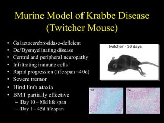 Combination Gene Therapy, Bone Marrow Transplantation and Substrate ...