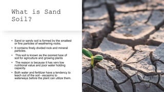 Sand Soil Presentation by MAKARURAMA.pptx