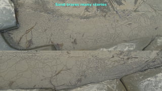 Sand Talk Review and Discussion | PDF