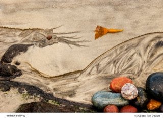 Sand Vision, an exploration of abstract sand art | PDF