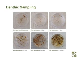 Sand Wand Sediment Removal System for In-stream Restoration | PPTX