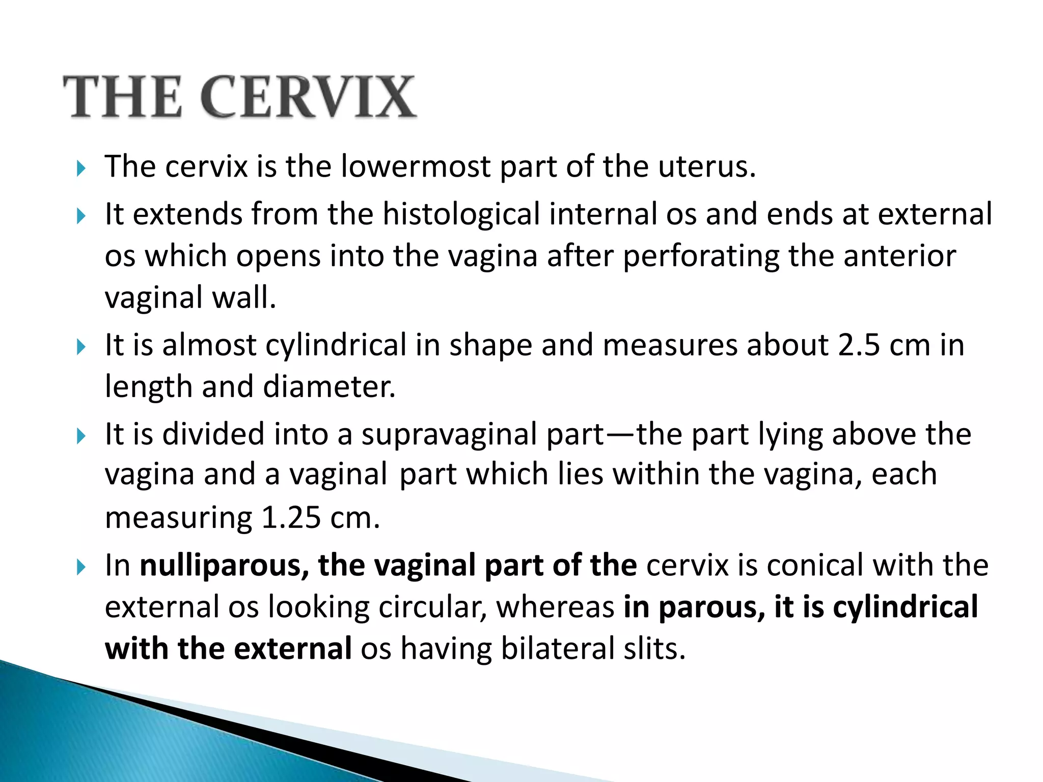 Anatomy of female genital tract | PPTX