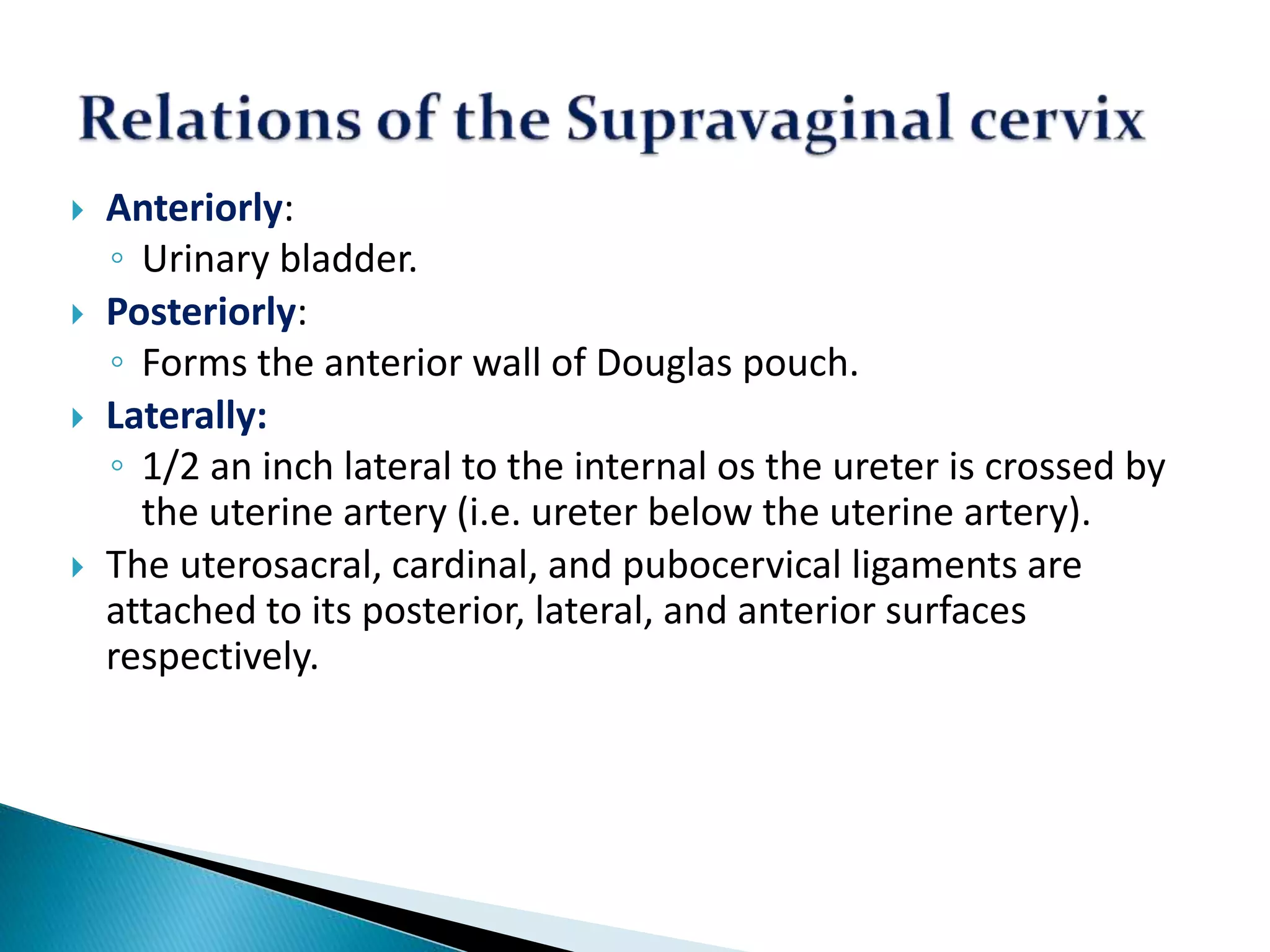 Anatomy of female genital tract | PPTX