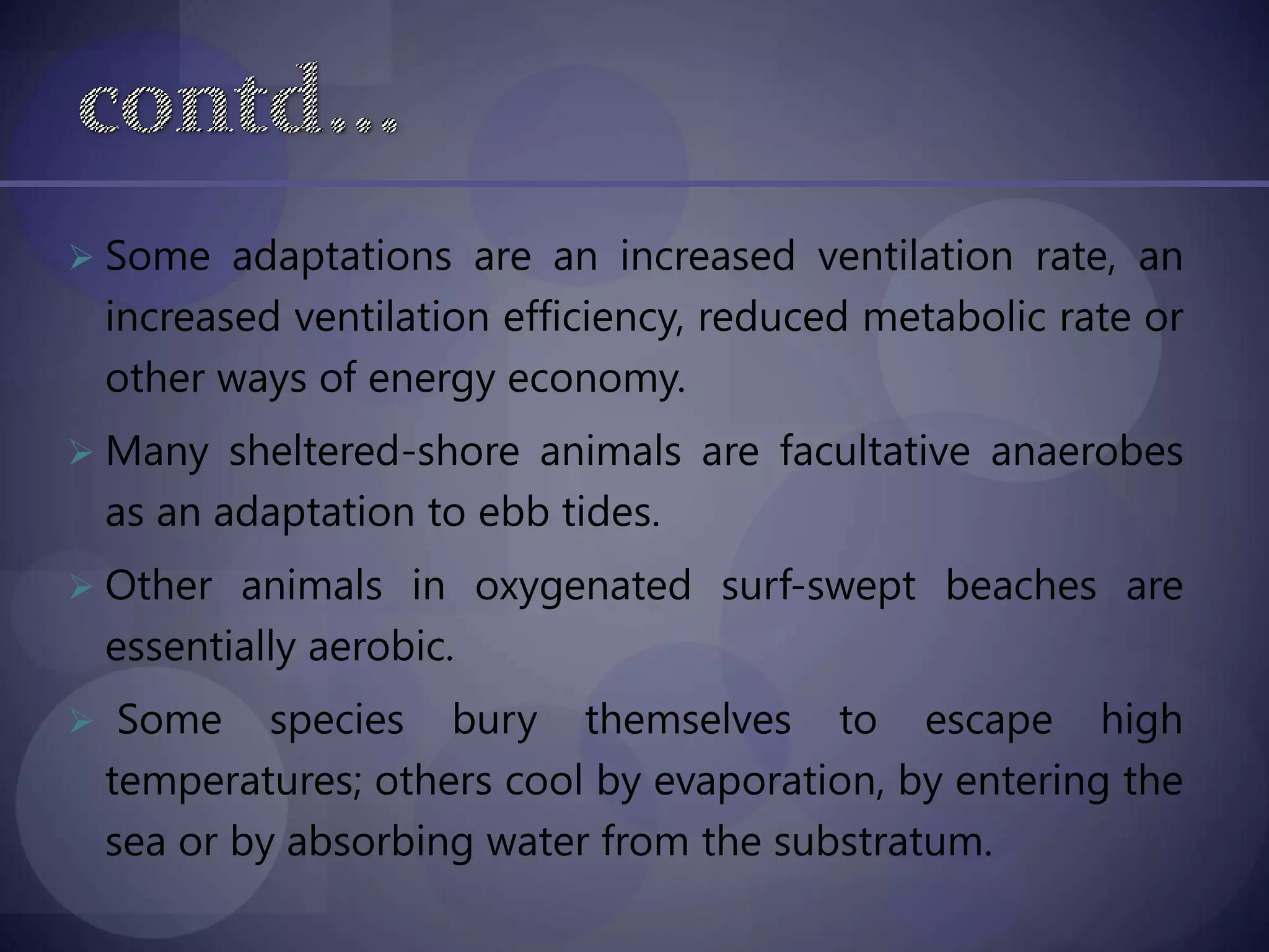 Sandy beach ecosystem.ppt